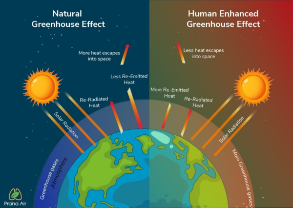 Nature’s Carbon Cycle: Human Impact & Path to Carbon Neutrality